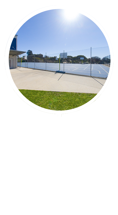 Please enable Javascript!